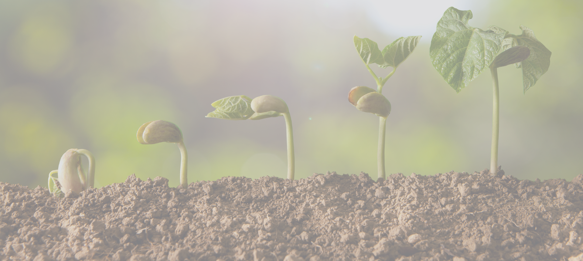 De groei van je bedrijf op een slimme manier versnellen? - Grow-ID